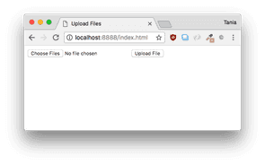 How to Upload Files to a Server with Plain JavaScript and PHP | Tania's ...