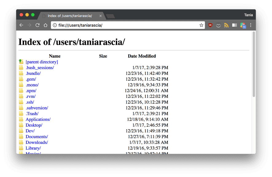 How to Use the Command Line in Linux and macOS | Tania's Website