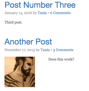 WordPress Tutorial: Pagination, Comments, Functions, & Custom Posts | Tania's Website